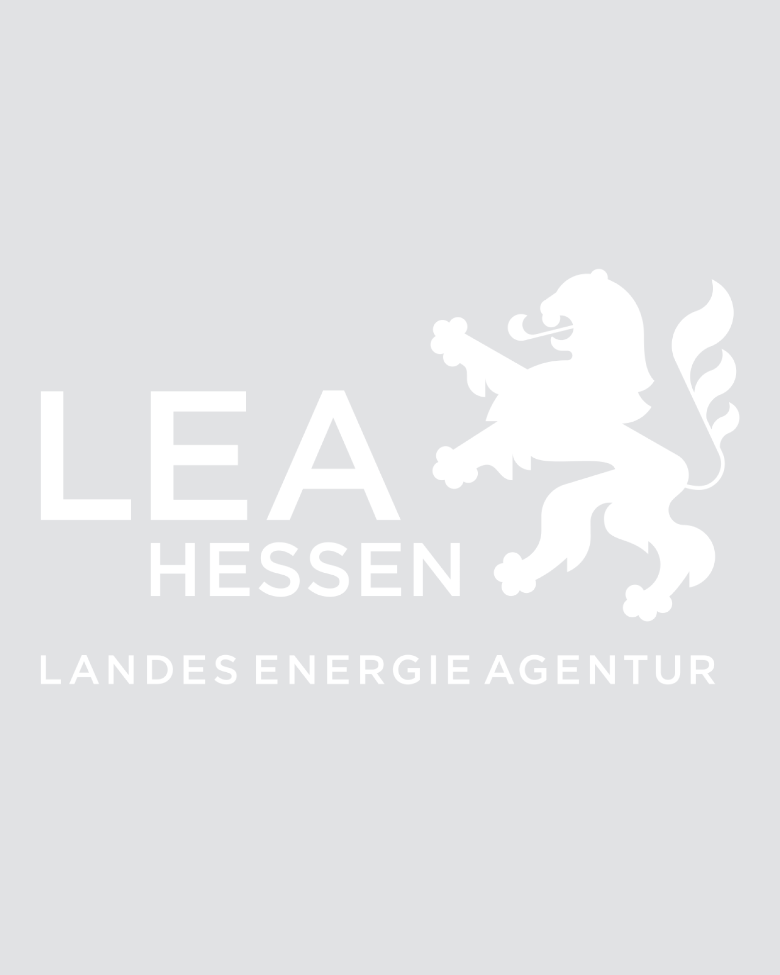 Dach / LEA - LandesEnergieAgentur